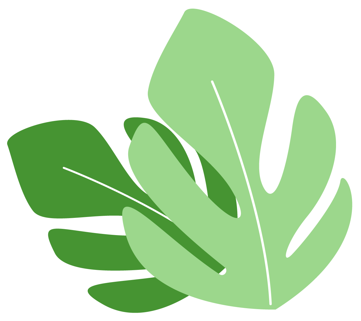 Cabinet Agricole | Experts Conseils Filière Agricole | Ulimi